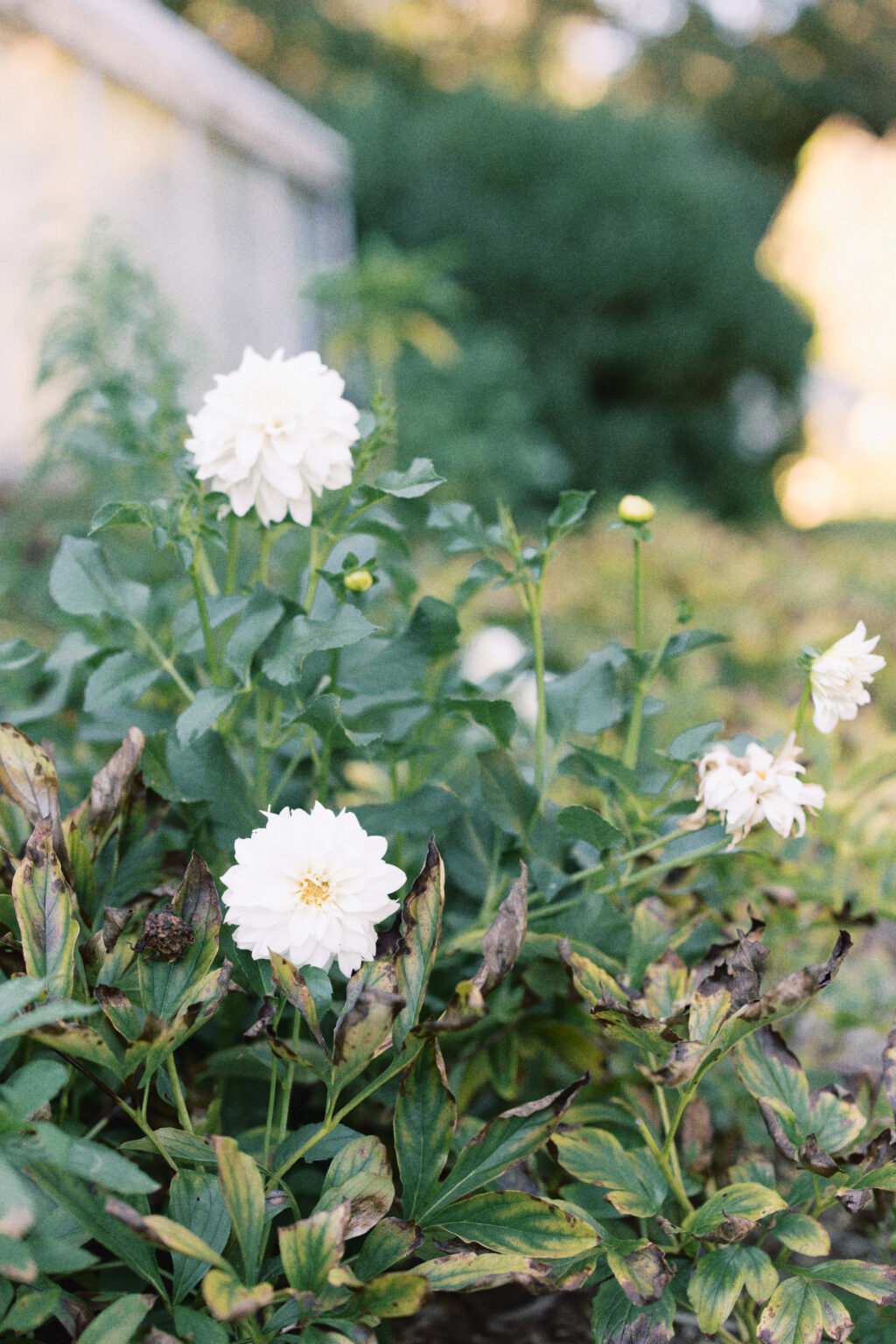 3 Reasons to Do Mommy & Me Photography | emmajomarsh.com