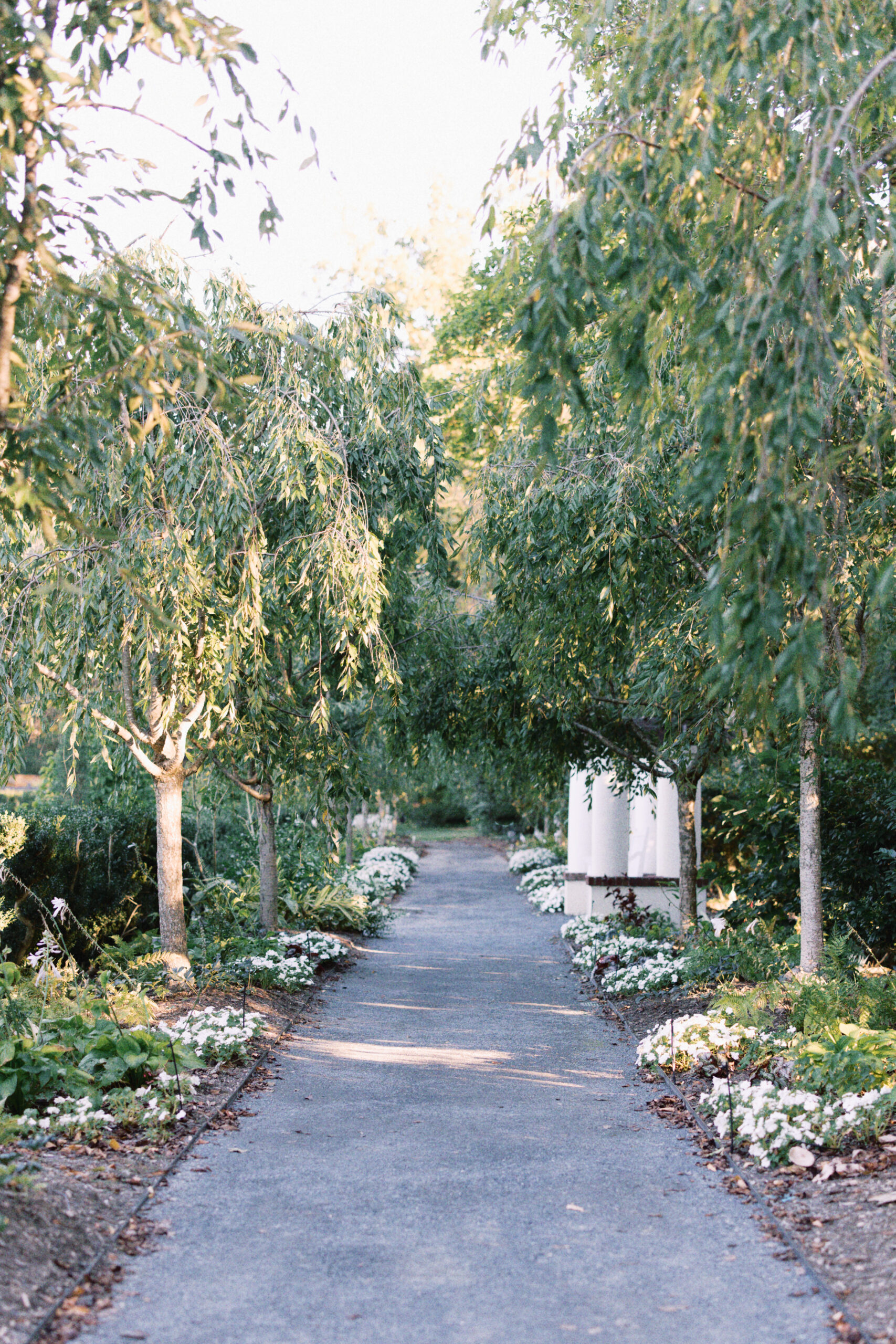 3 Reasons to Do Mommy & Me Photography | emmajomarsh.com